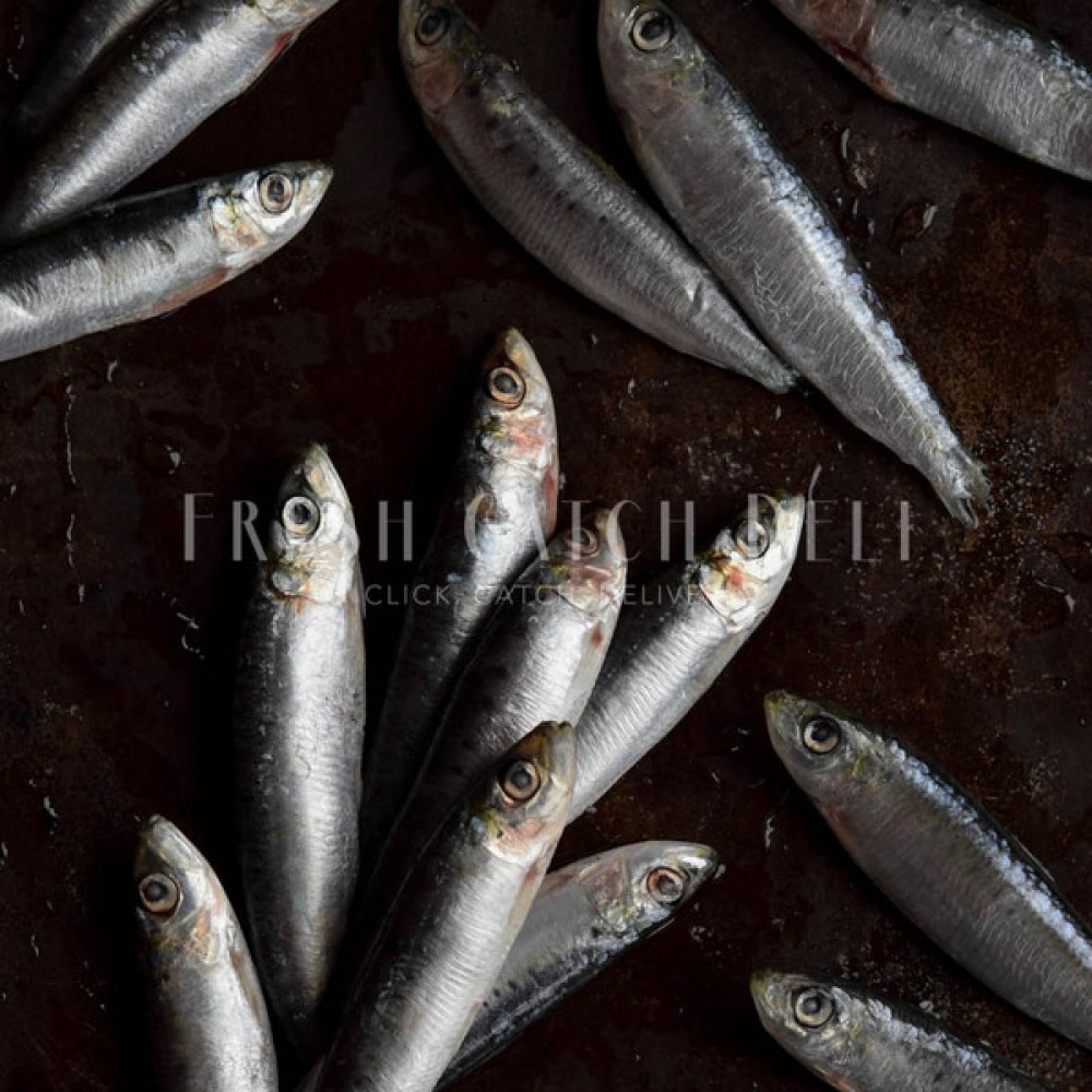 800g Large Sardines | Fresh Catch Deli