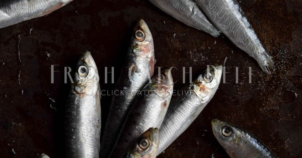 800g Large Sardines | Fresh Catch Deli